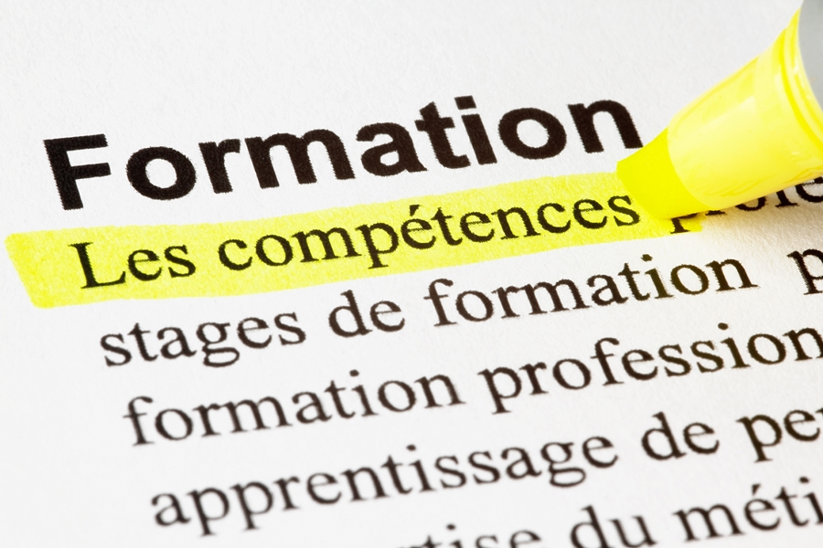 Enseigner des compétences ou des connaissances? - Les Observateurs