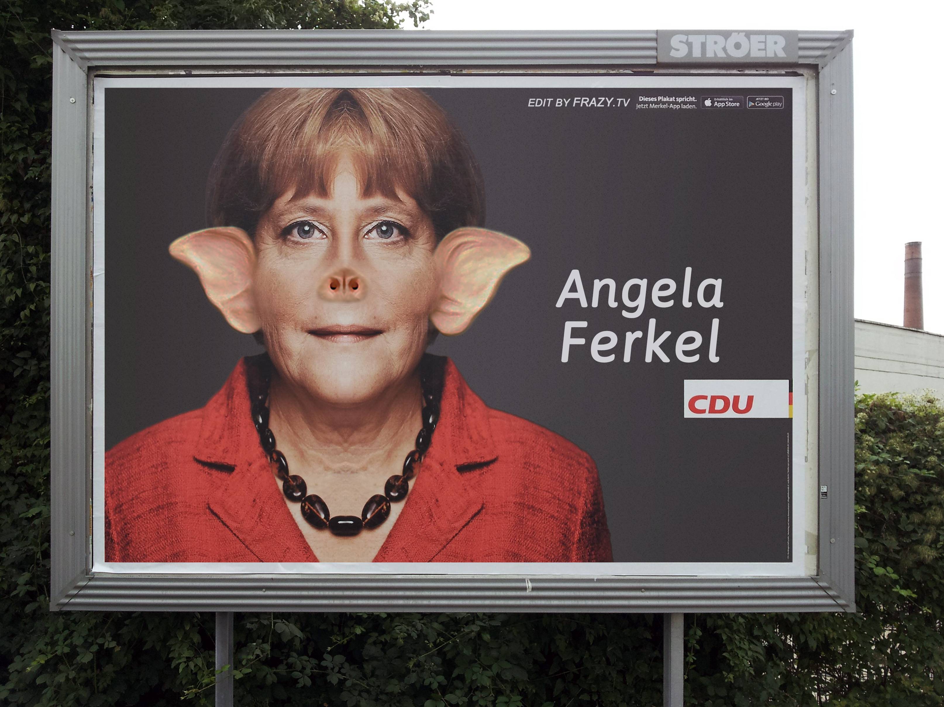 Allemagne: une tête de cochon retrouvée devant la permanence d'Angela ...