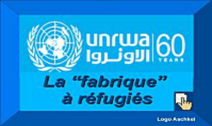 Faut-il recadrer Ignazio Cassis… ou Jennifer Covo ? - Les Observateurs